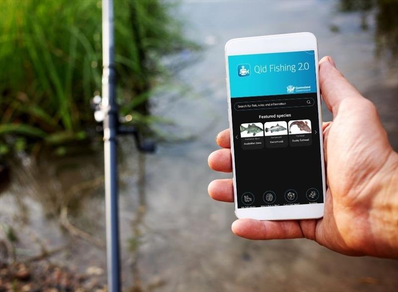 Recreational catch reporting coming to Qld Fishing 2.0 app