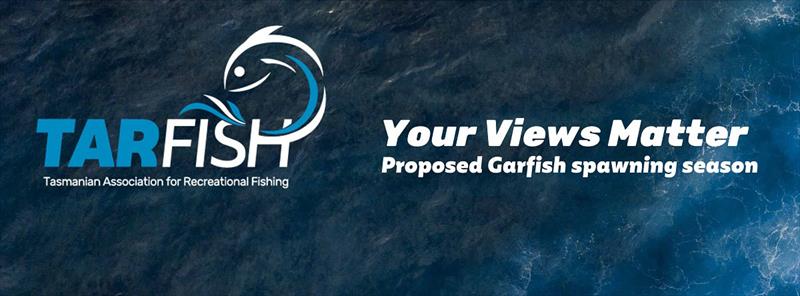 Your views on Southern Garfish matter