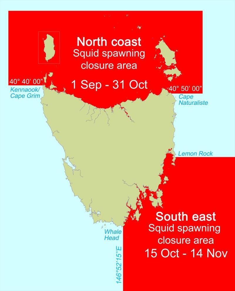 Squid and rock lobster season dates